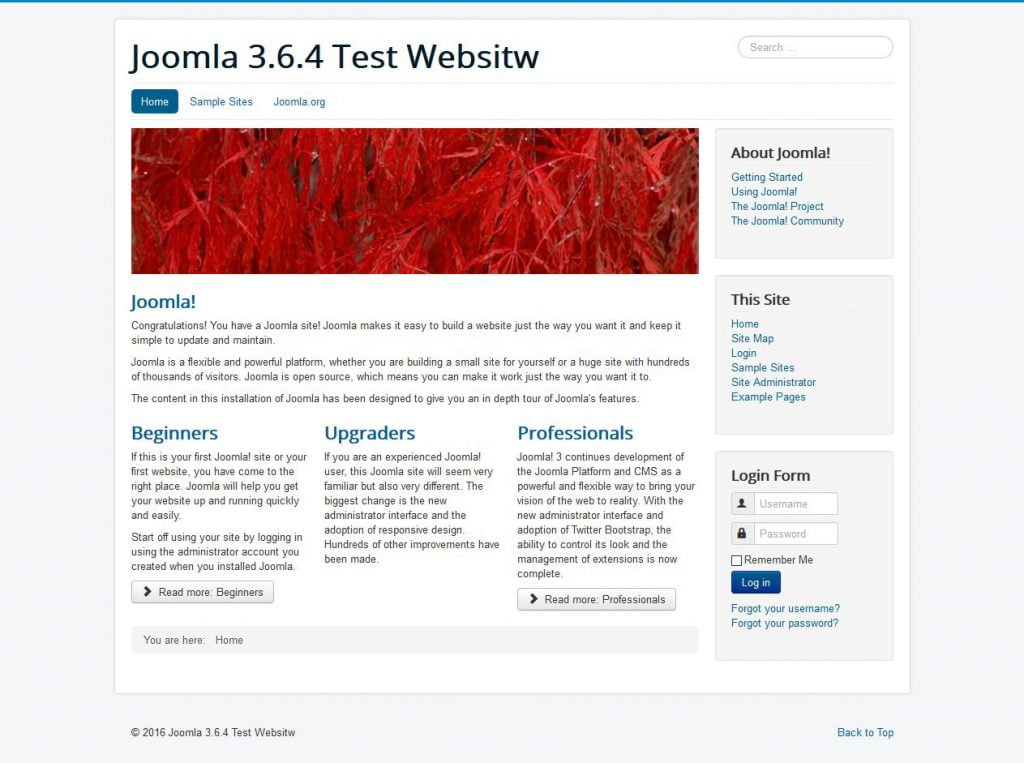 Sample data set of Joomla! default installation: None, Blog, Brochure, Default and Learn Joomla ...