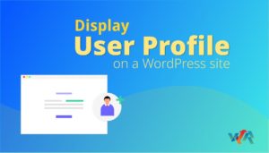 How to Display User Profile Info on a WordPress Site - WebTechRiser.com
